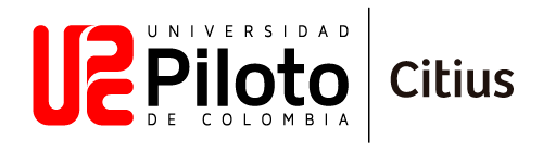 Encuesta de Satisfacción - Centro de Servicios de Tecnología - CITIUS