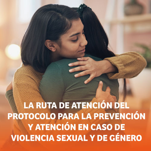 La Ruta De Atención Del Protocolo Para La Prevención Y Atención En Caso 6687